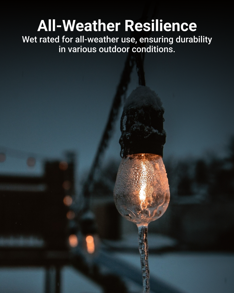 48ft Outdoor String Lights, 24 LED Filament Bulbs, Suspended Standard ...